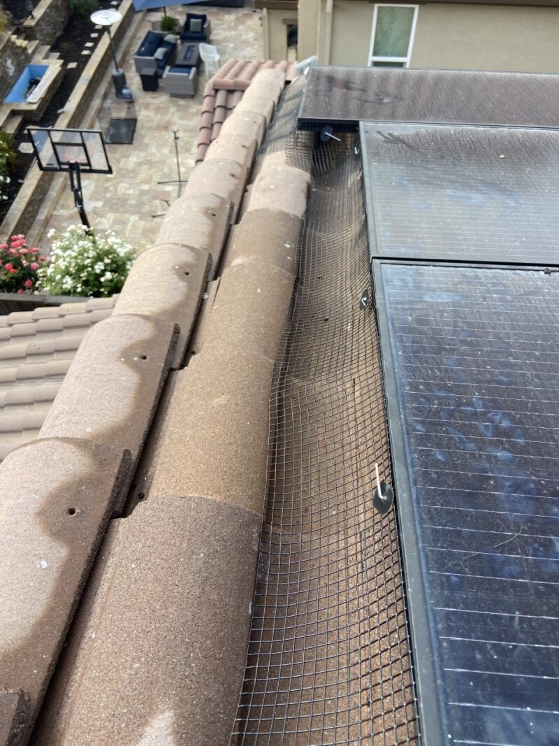 Bird Proofing Solar Panels Bay Area | Protect Your Solar Panels
