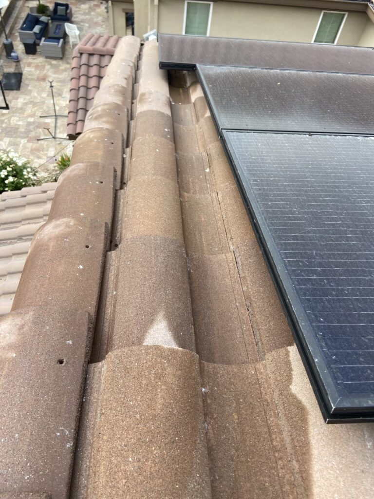 Bird Proofing Solar Panels Bay Area | Protect Your Solar Panels